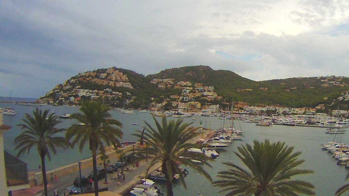 Hitze in der Inselmitte, angenehm an der Küste - Mallorca Zeitung