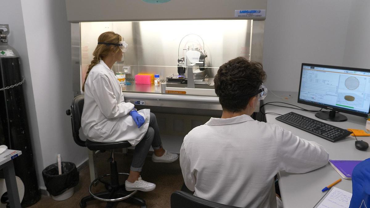 Investigadores de la UMH crean piel en 3D para entender mecanismos ...