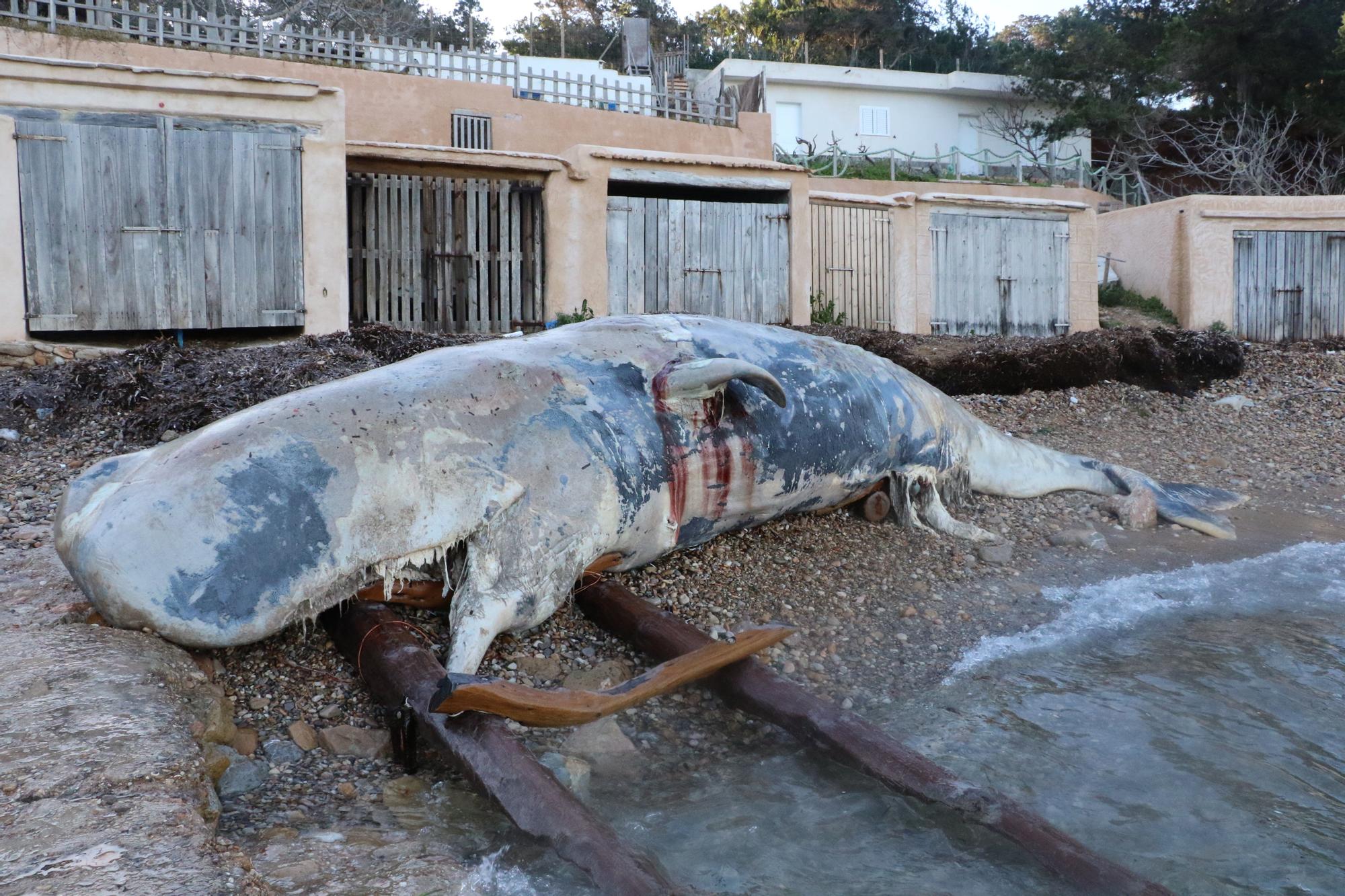 Estas son las fotos ganadoras del Certamen para la Conservación del Mar ...