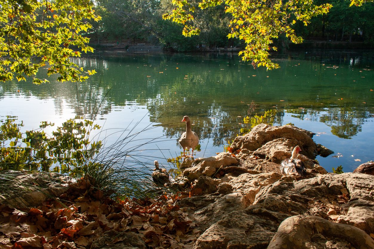 Ni Trillo, ni Orbaneja de Castillo: el pueblo con la cascada más bonita ...