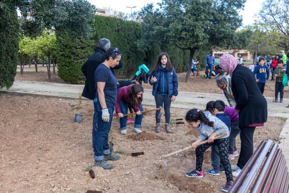 Más vida y color en el parque Krekovic de Palma - Diario de Mallorca