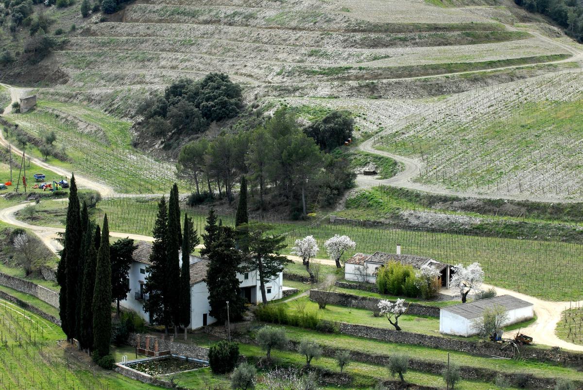 RESTAURANTES GUÍA MICHELIN | 345 habitantes, viñedos y un restaurante ...