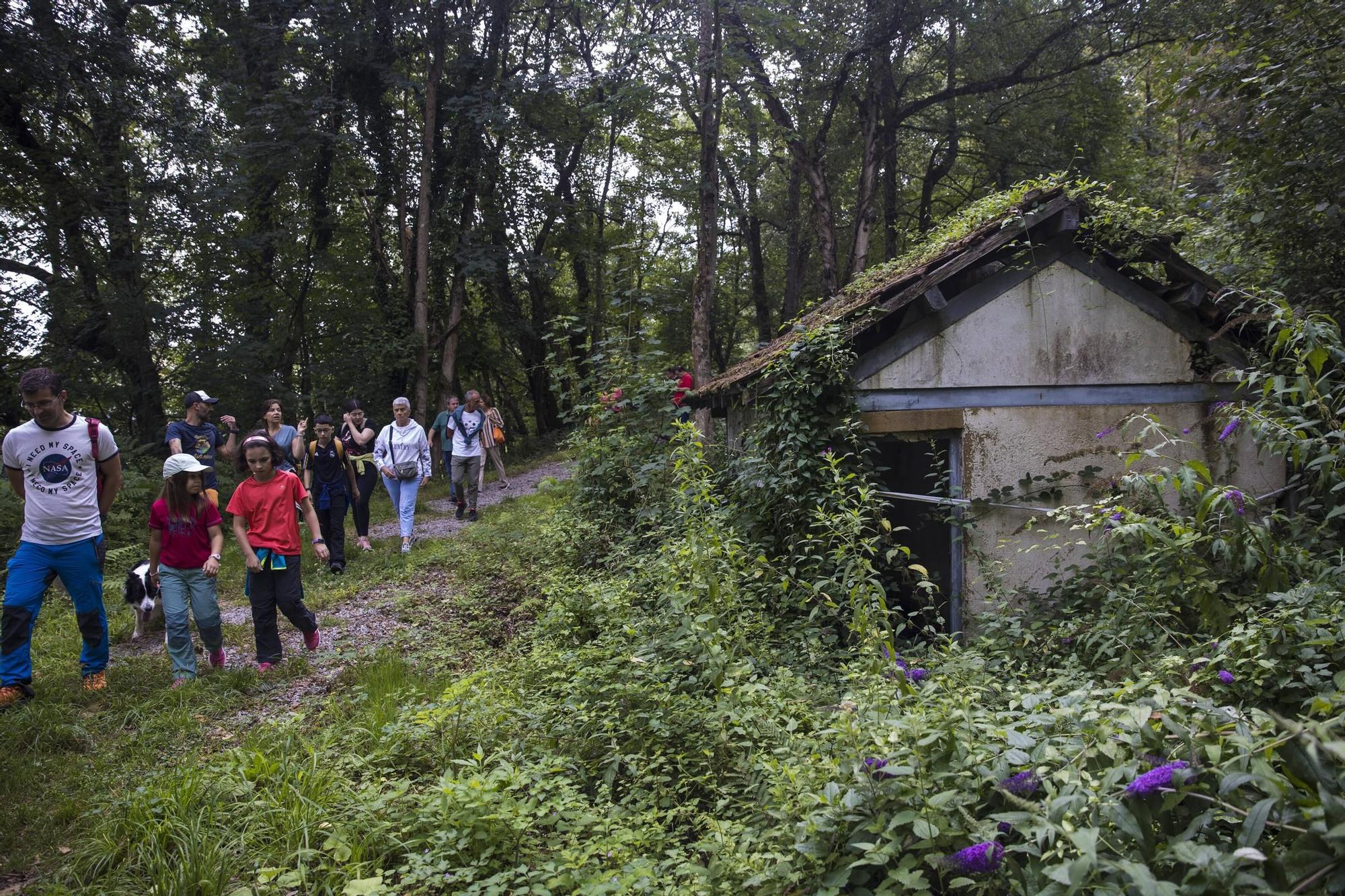 En imágenes: La Zoreda, un bosque "animado" para viajar en el tiempo