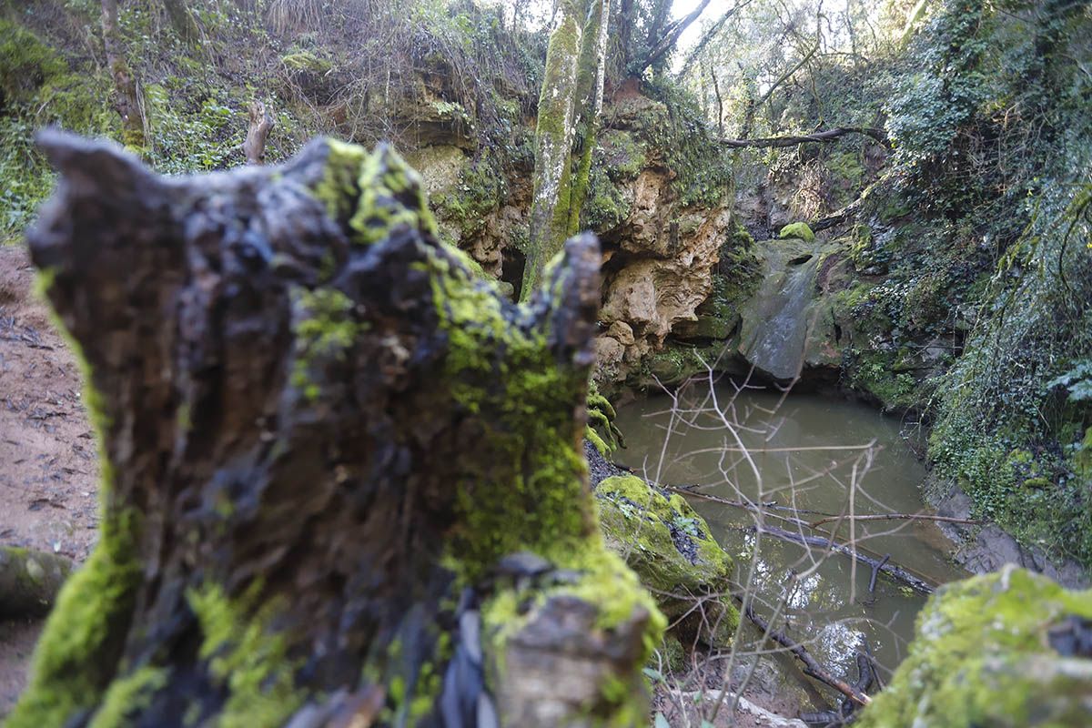 Los Baños de Popea no remontan tras las lluvias - Diario Córdoba