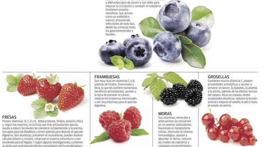 Los frutos rojos del Paraíso Natural - La Nueva España