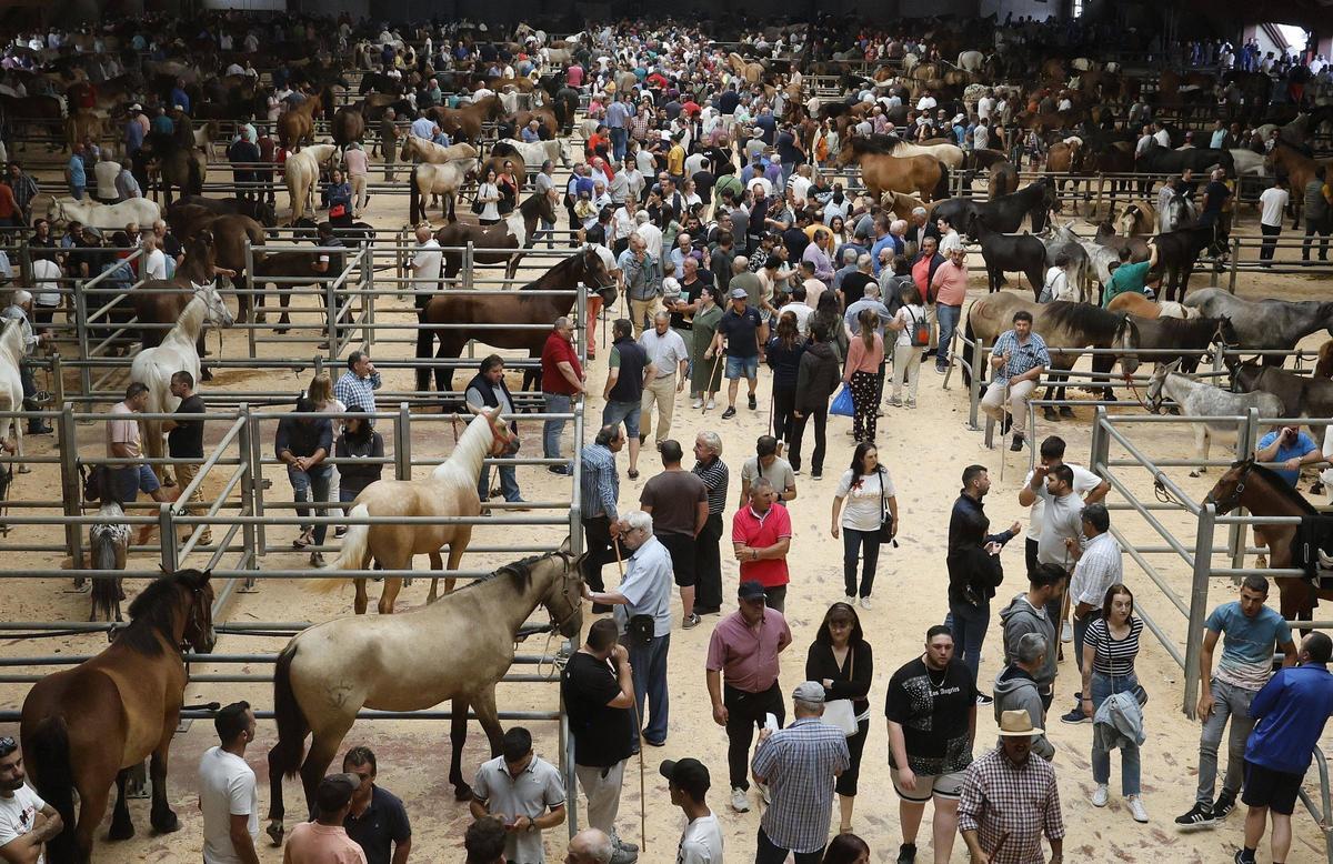 Multitudinaria asistencia a la Feria Cabalar de Amio en el día del Apóstol