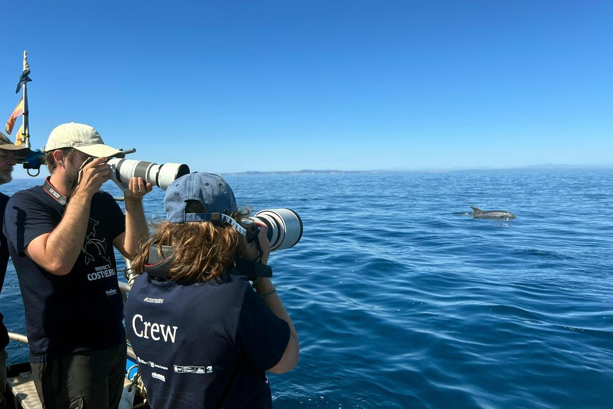 La convivència de dofins i pescadors al cap de Creus: mengen de les ...
