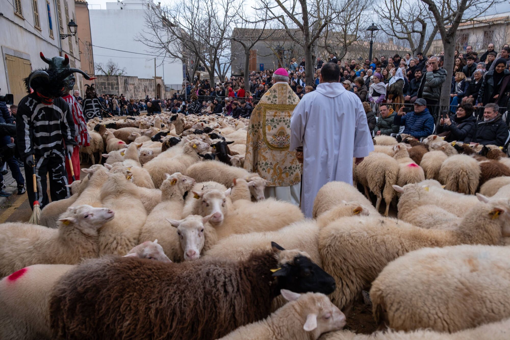 So eindrucksvoll waren die Tiersegnungen zu Sant Antoni 2026 in Muro ...