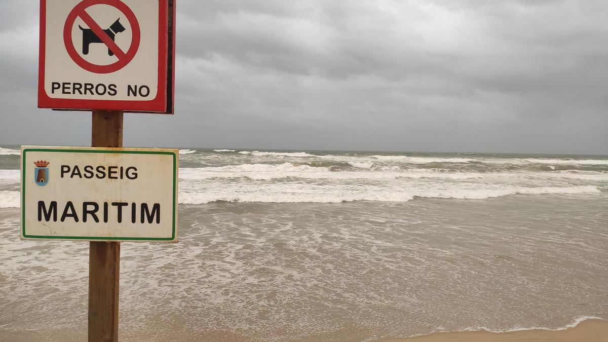 El temporal llega a la playa de Piles
