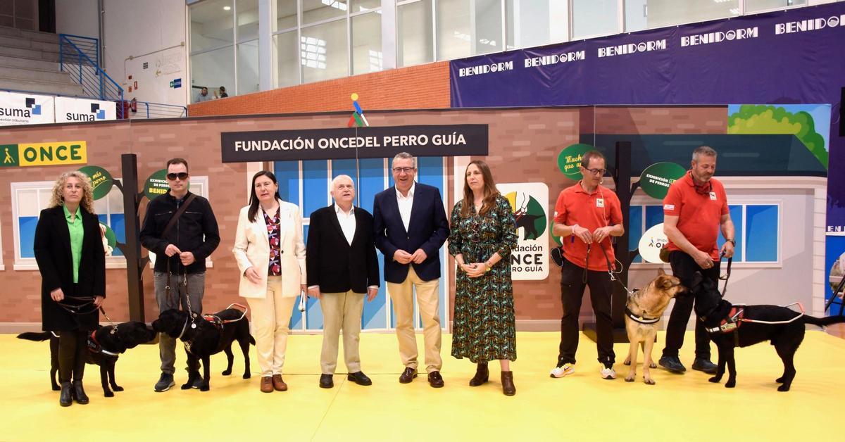 PERROS GUÍA ONCE BENIDORM | ¿Cómo comportarse ante un perro guía? La ...