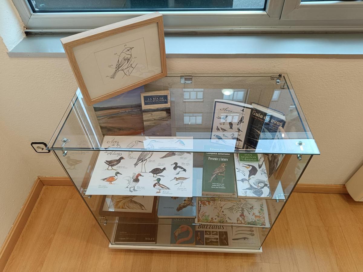 "Aves de tu entorno": así es la exposición de Isabel González en Posada ...