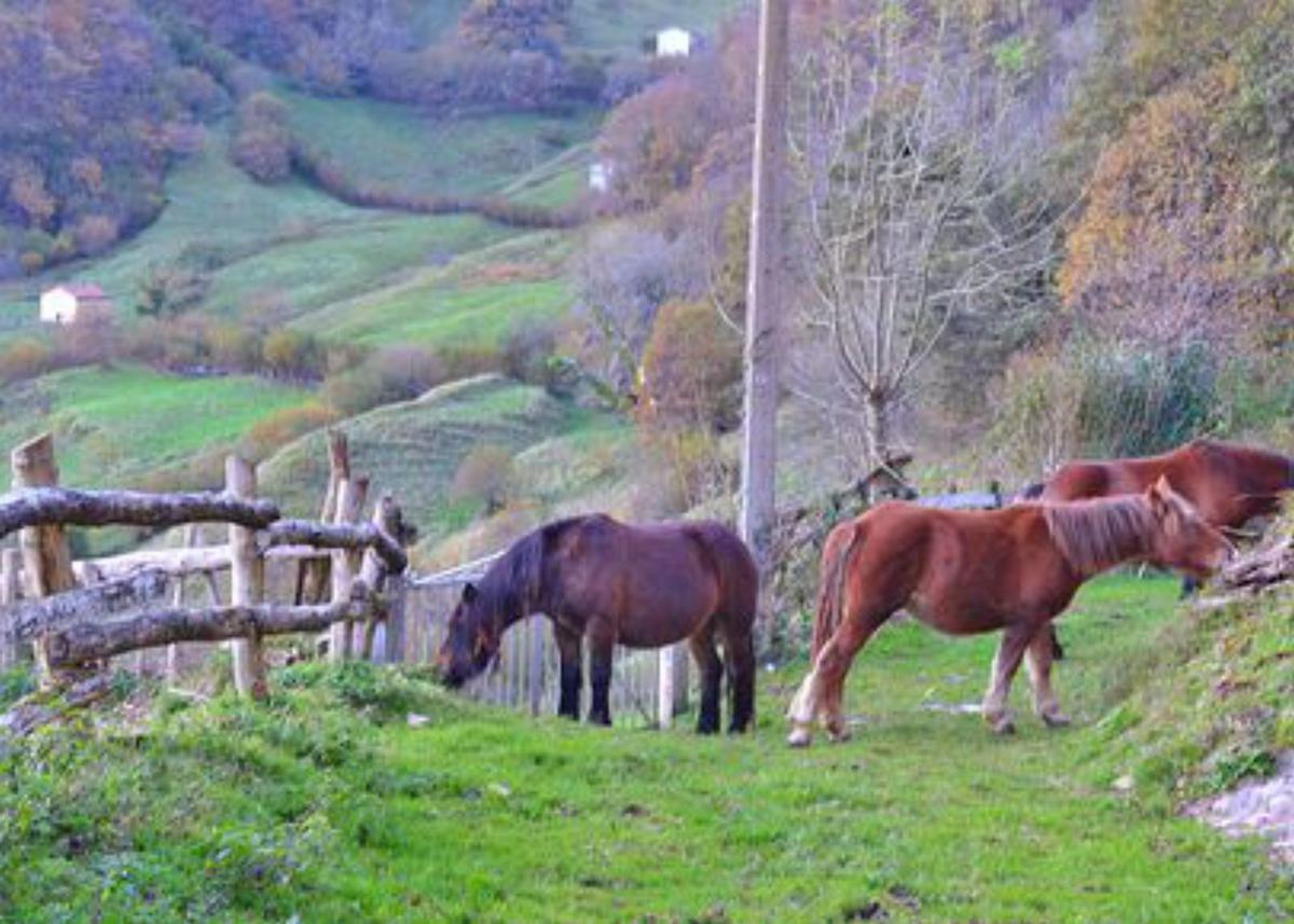 El cordero a la estaca se deja querer en Riosa