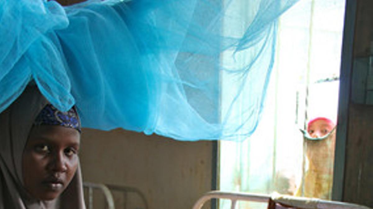 Los somalís nacidos en Kenia carecen de nacionalidad