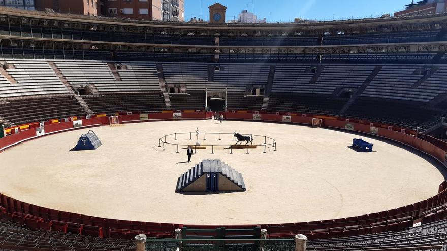 Toros Valencia: la temporada arranca sin las Fallas