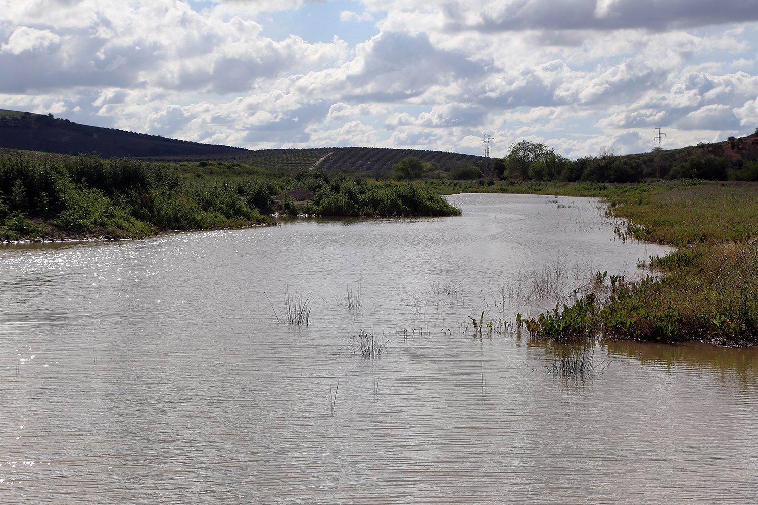 La Laguna de Jarata, en imágenes - Diario Córdoba