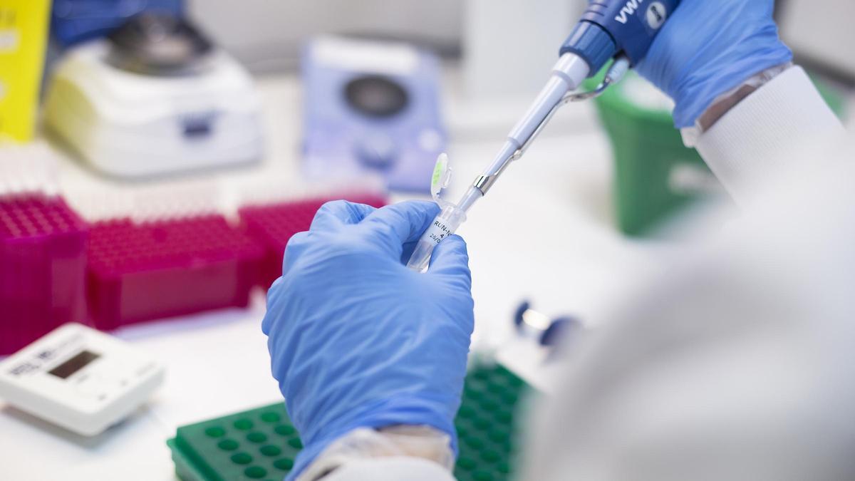 Ascires se desprende de su laboratorio genético para centrarse en el ...
