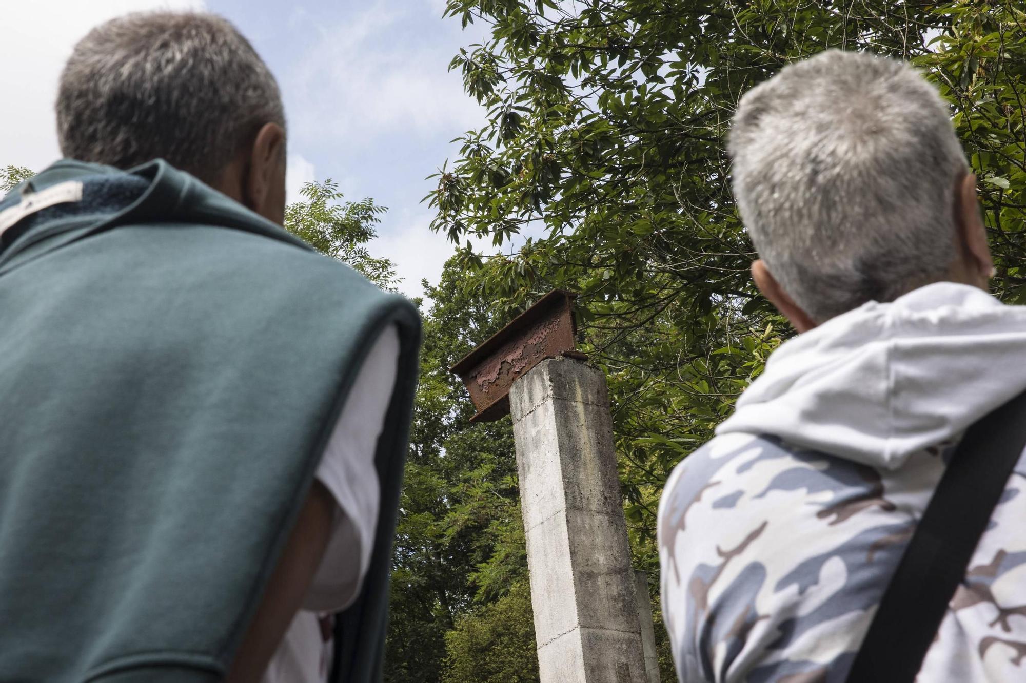 En imágenes: La Zoreda, un bosque "animado" para viajar en el tiempo