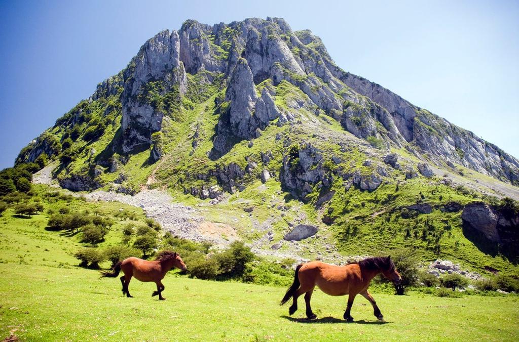 La Ruta de los Sentidos, todo lo que necesitas para enamorarte de Álava ...