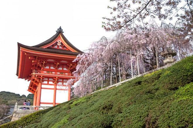 30 fotos que harán que te enamores de Japón - Viajar