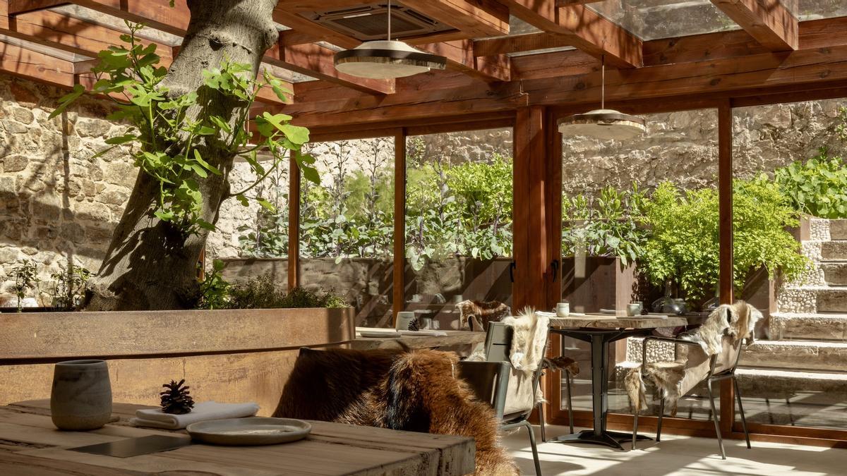 Montia, el restaurante con estrella donde cocinan lo que encuentran en ...