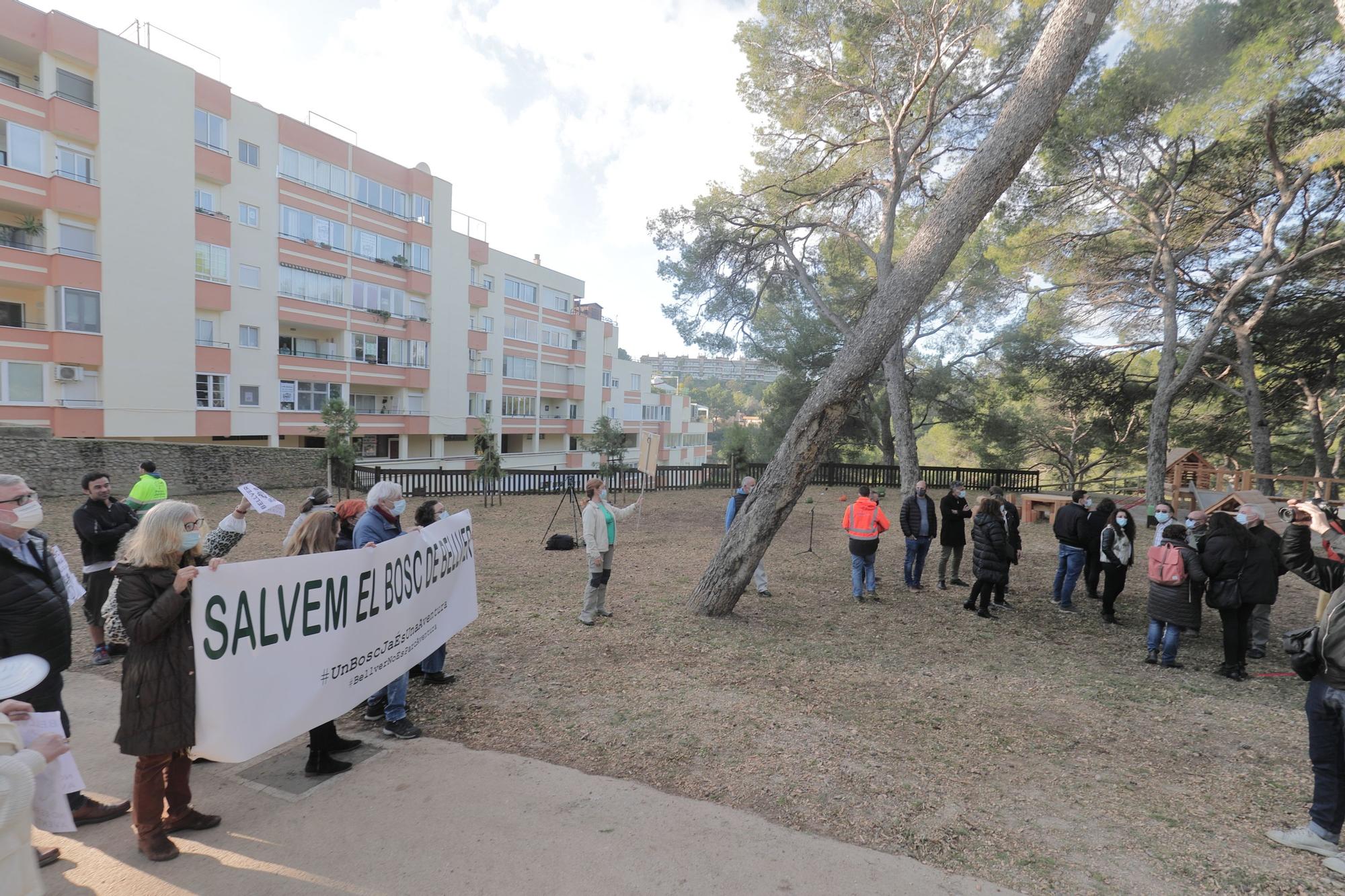 Cort inaugura el parque de aventuras del bosque de Bellver entre ...