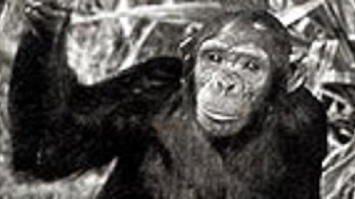 Una biografía sobre Chita, finalista de un premio literario británico ...