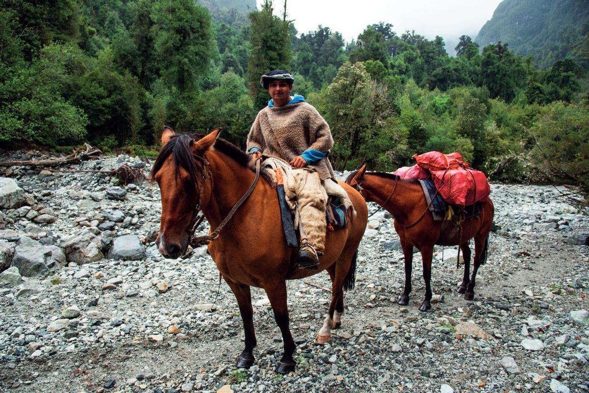 Región de los Lagos chilena, una ruta por su desbordante naturaleza - Viajar
