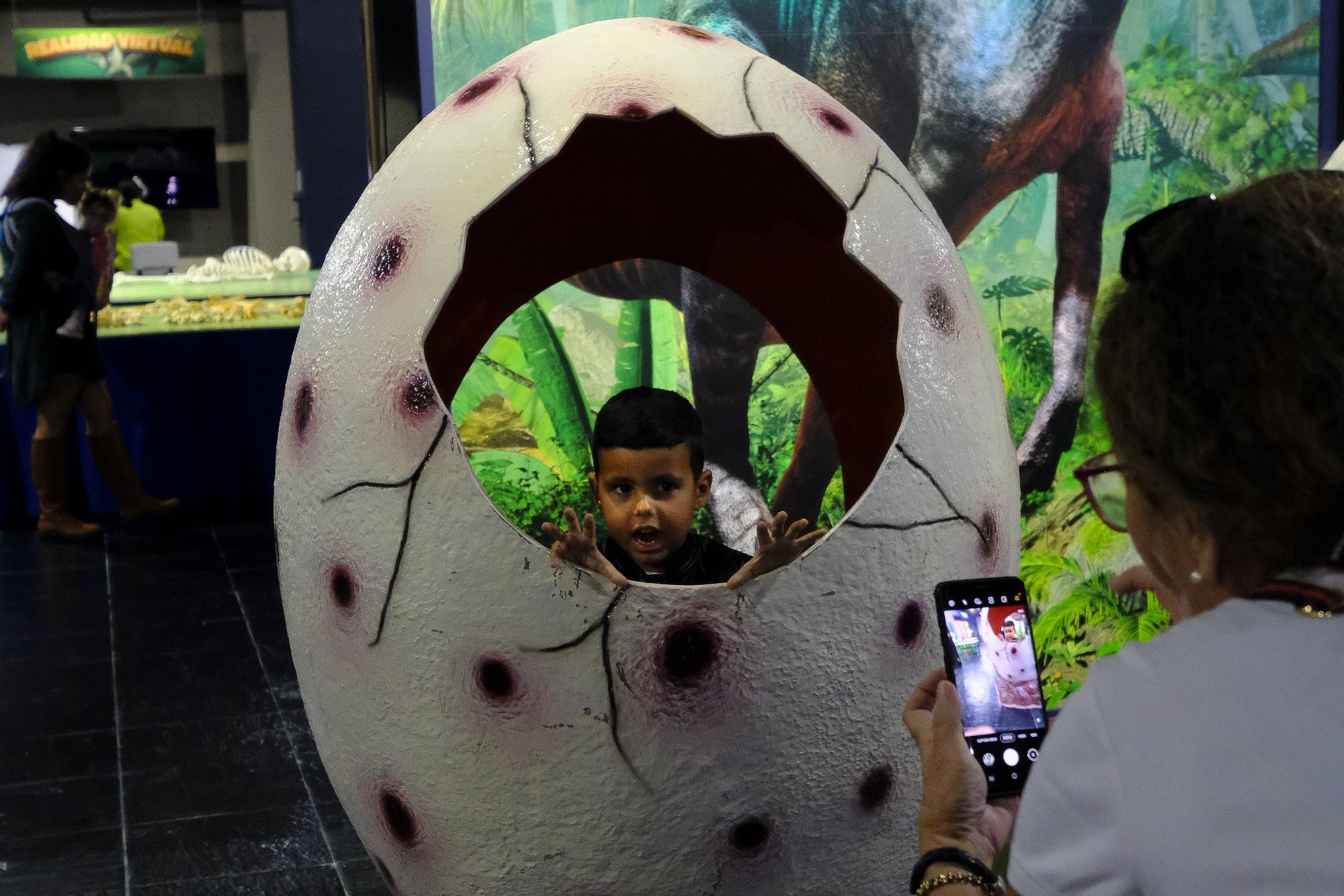 Exposición de dinosaurios en el Museo Elder