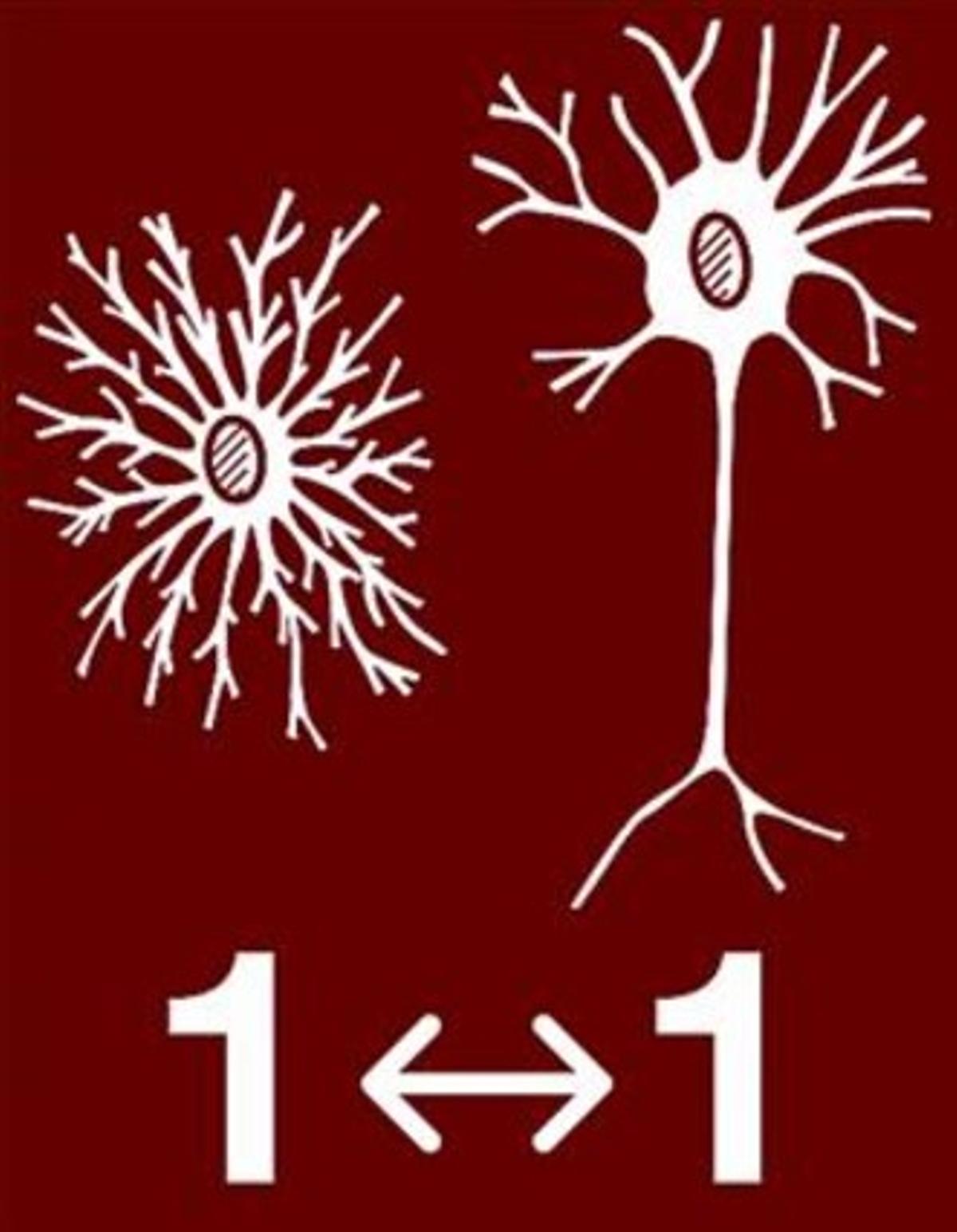 El tamaño como leyenda - El Periódico