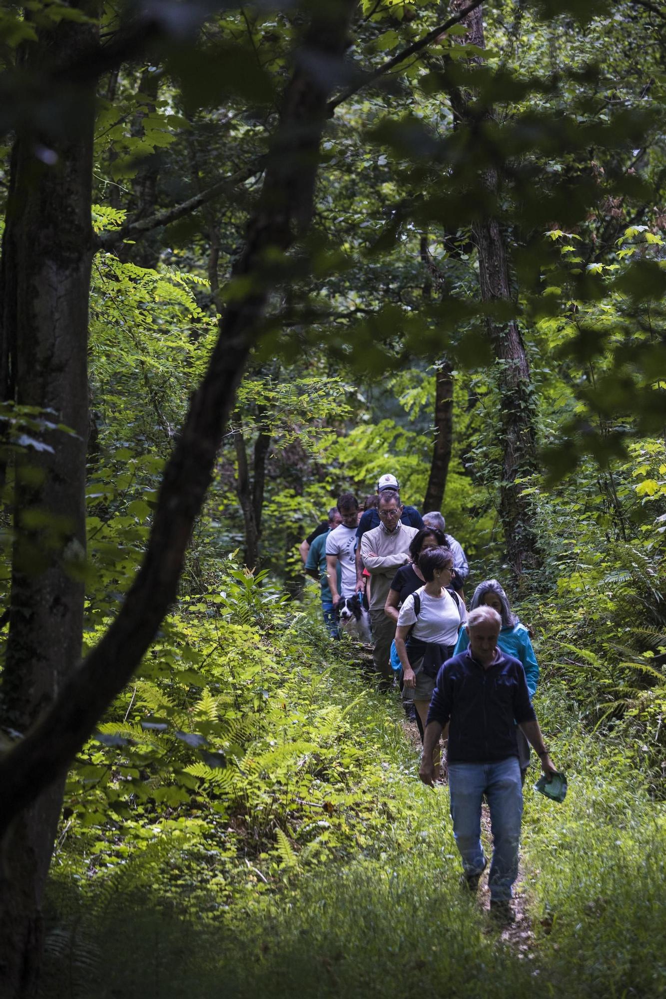 En imágenes: La Zoreda, un bosque "animado" para viajar en el tiempo