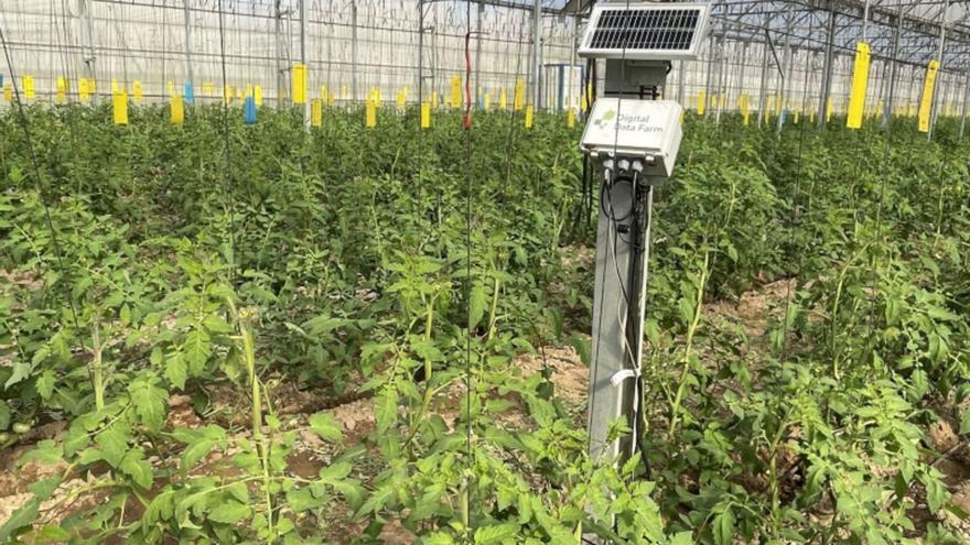 Digital Data Farm: las soluciones más eficientes para la agricultura ...