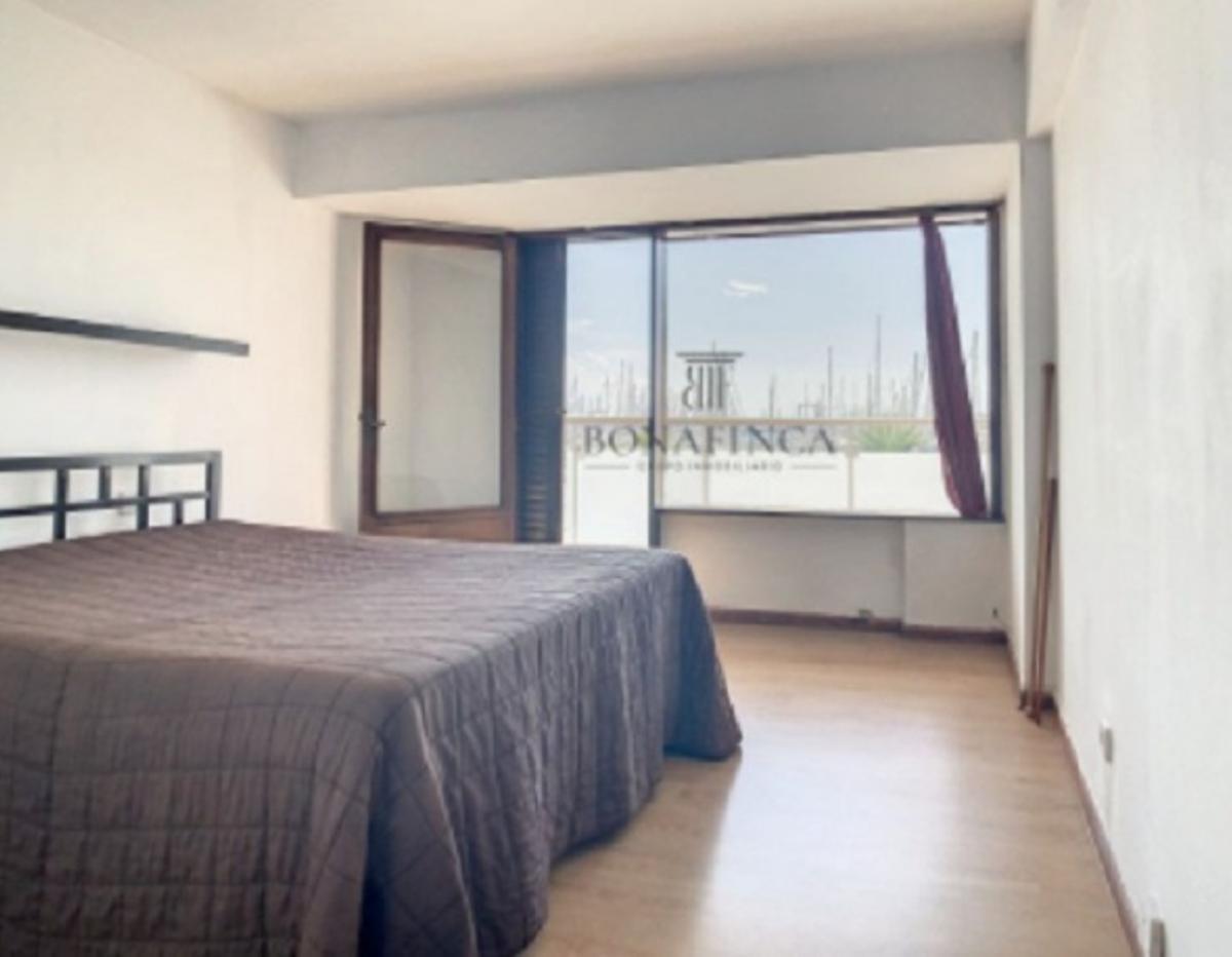 ¿Qué precios tienen los pisos en alquiler en Palma ahora mismo?