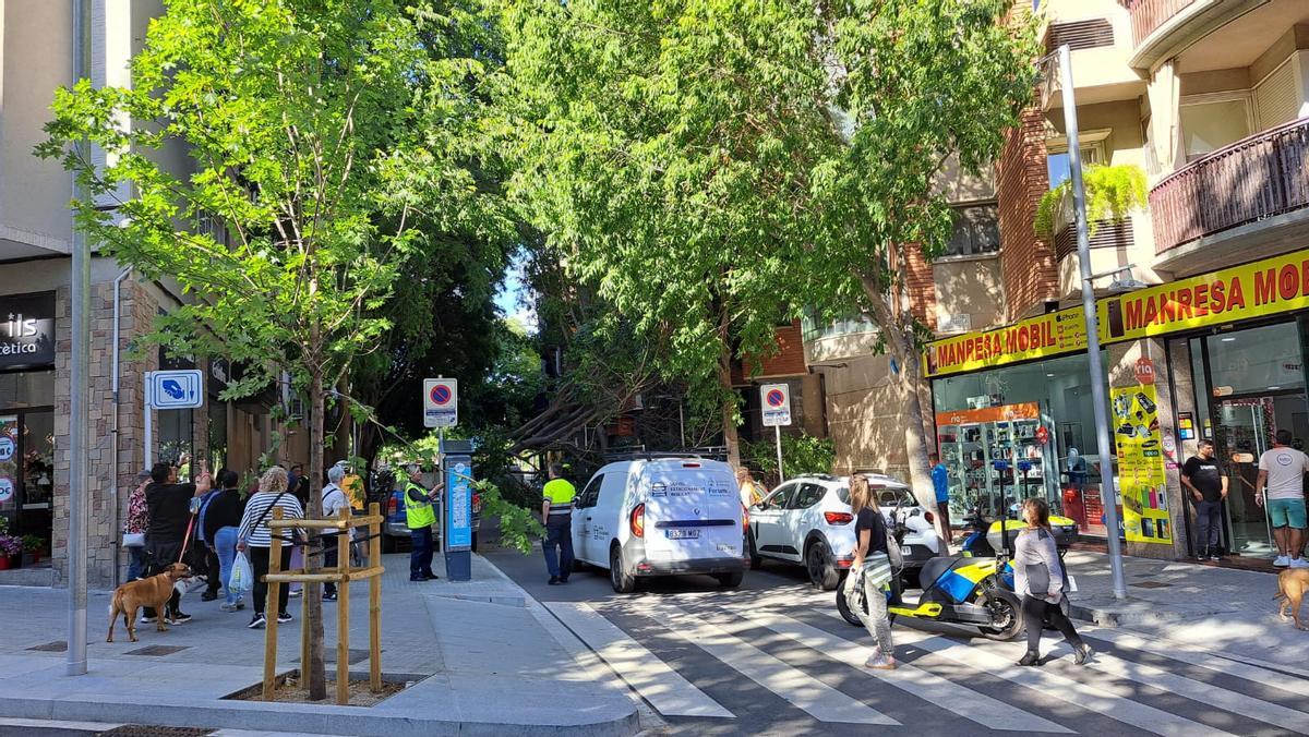 Arbre caigut al carrer Carrasco i Formiguera de Manresa