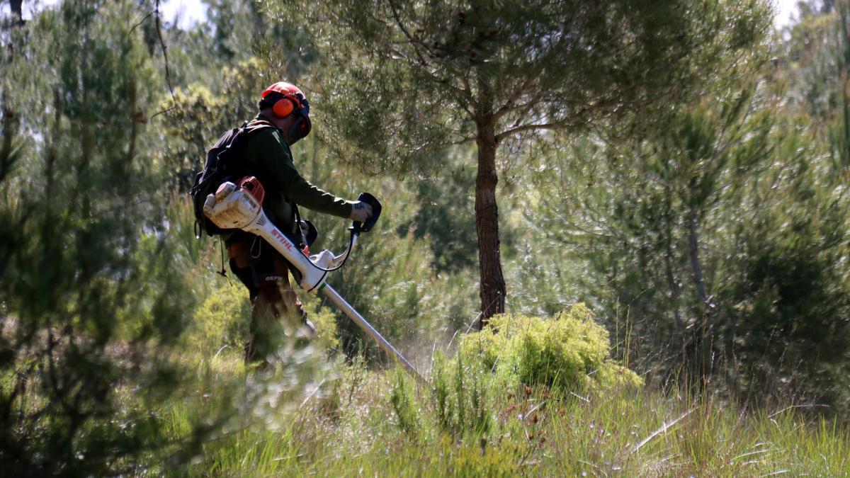 El Govern actua a l'eix de confinament Girona-Celrà per evitar que el ...