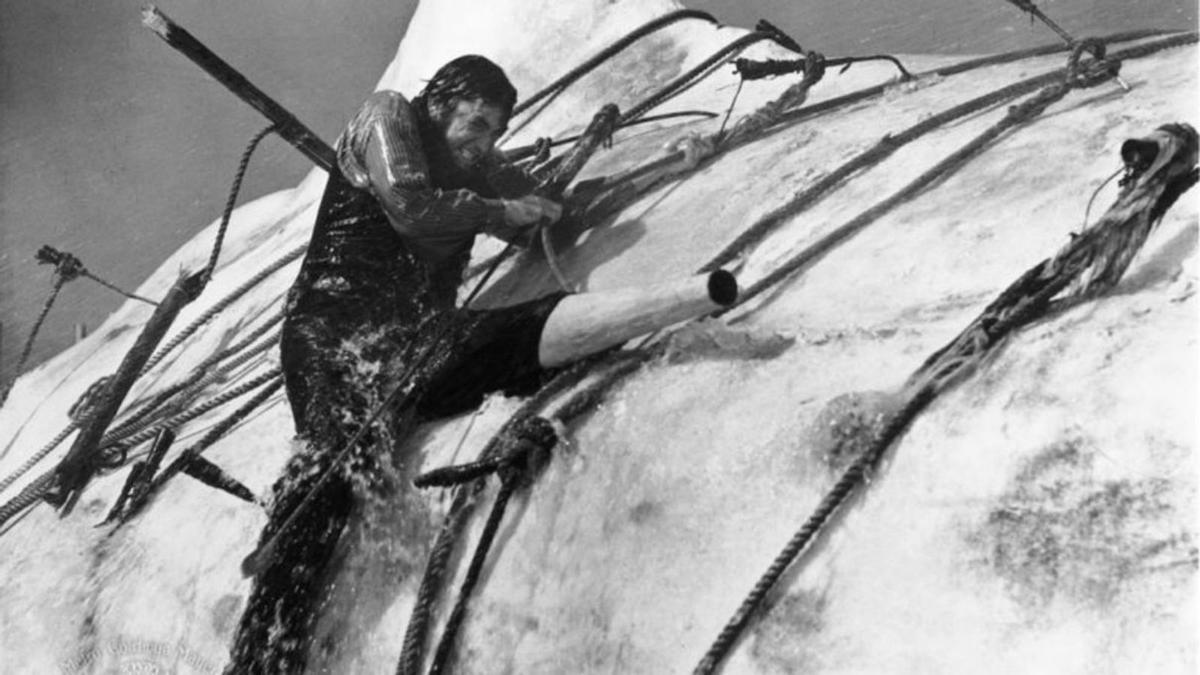 Salvar a Moby Dick y al capitán Ahab - Levante-EMV