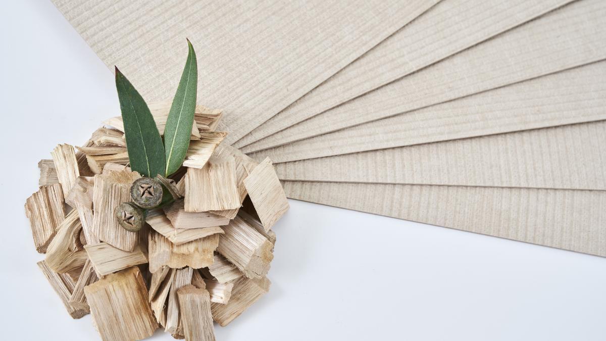 Usos de la celulosa para un mundo más sostenible - Faro de Vigo