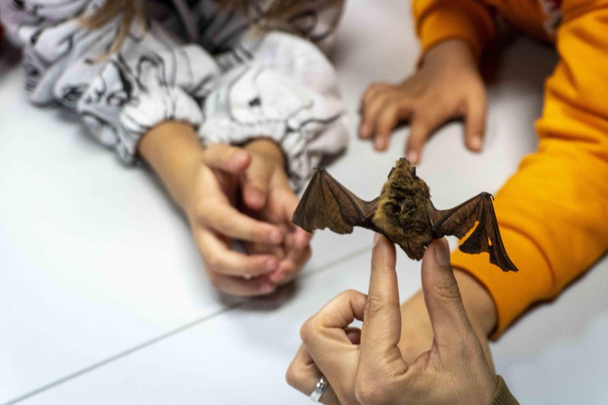 PLANES | Celebra el Dia Mundial de los Animales con Bioparc