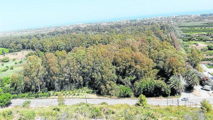 El zoo de El Verger cerrado hace tres años es una selva