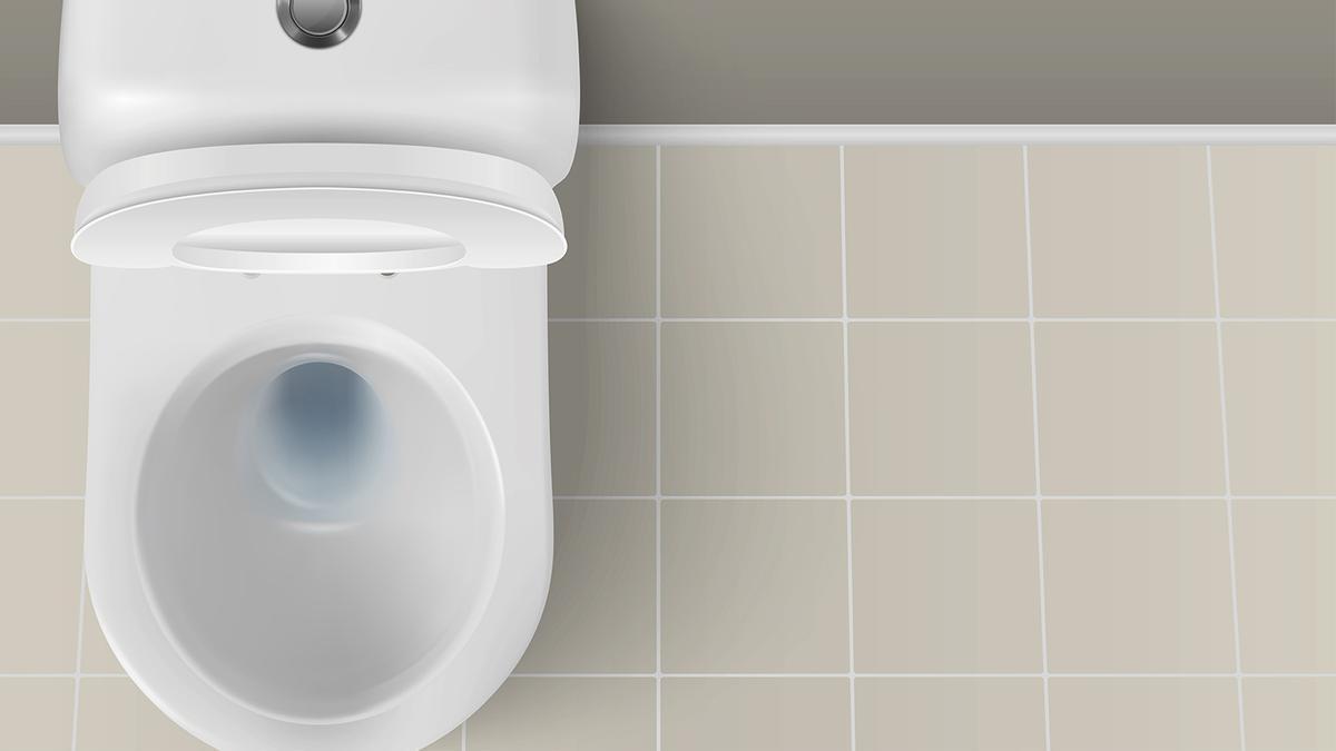 TRUCO RETRETE | El truco del aire por el retrete: se acabaron los ...