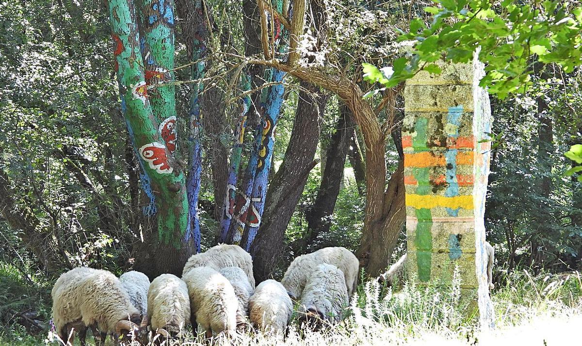 Comienza la restauración del bosque de O Rexo, del pintor Agustín Ibarrola