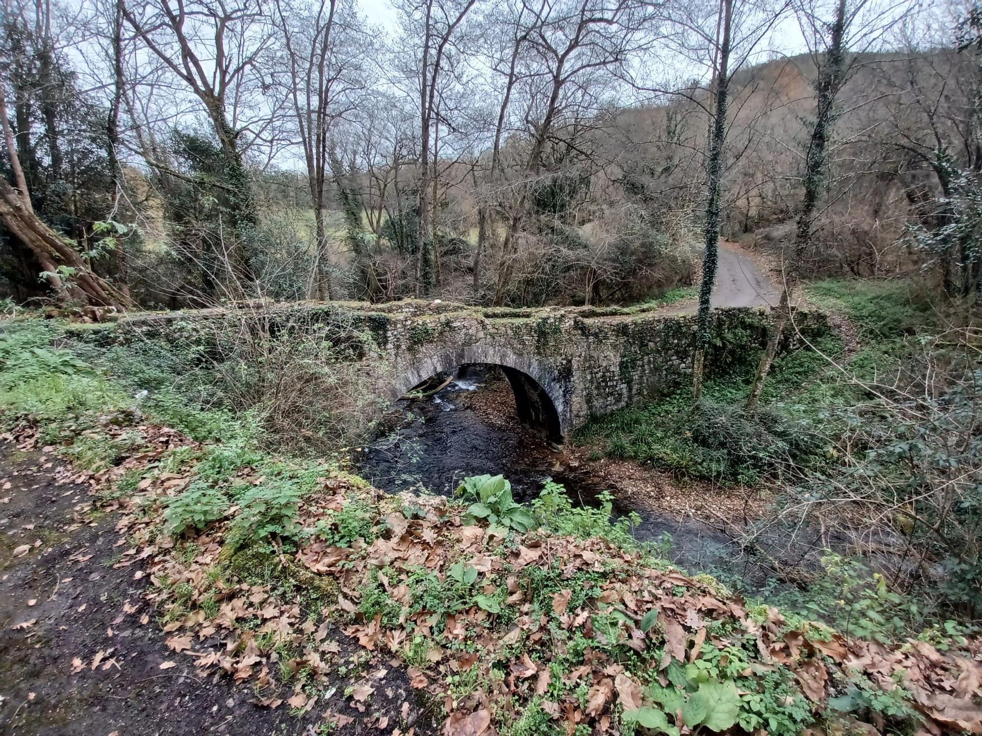La ruta del bosque viejo de Báscones, un baño de historia y naturaleza ...