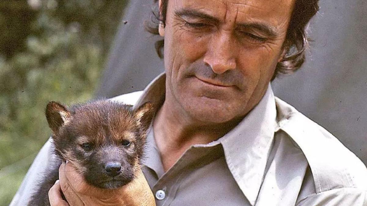 Doctor Félix Rodríguez de la Fuente - Información