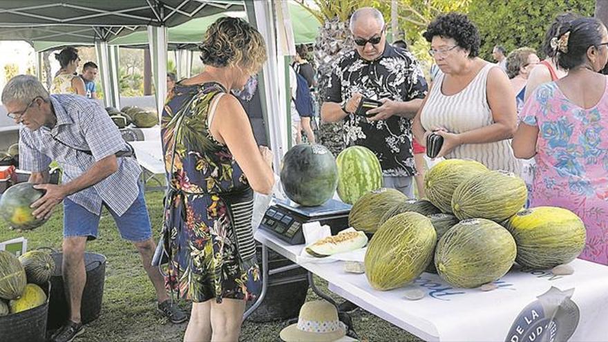 Melón, imprescindible en los meses de verano