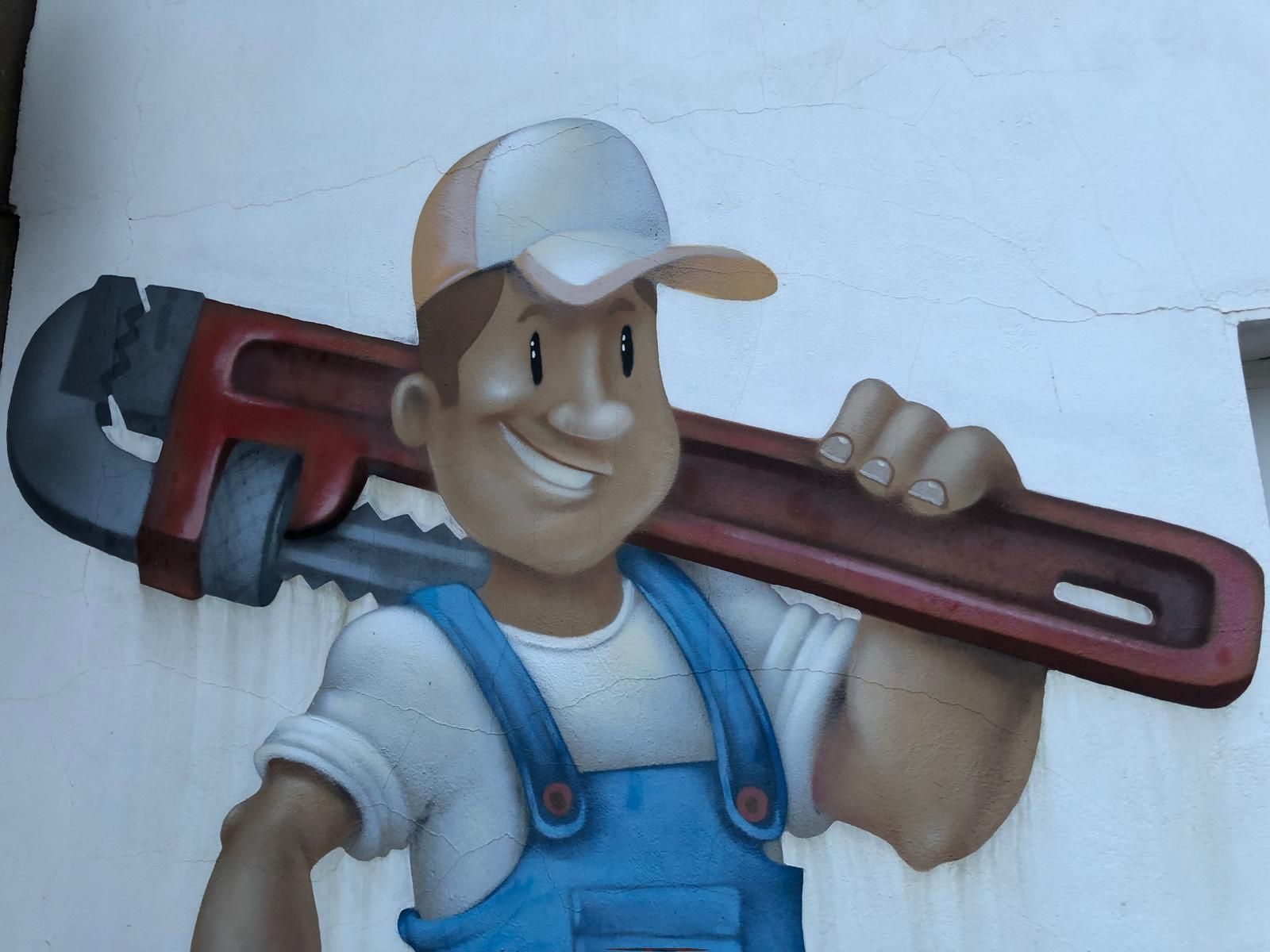 Hernando de Soto: la desidia de Cáceres - El Periódico Extremadura