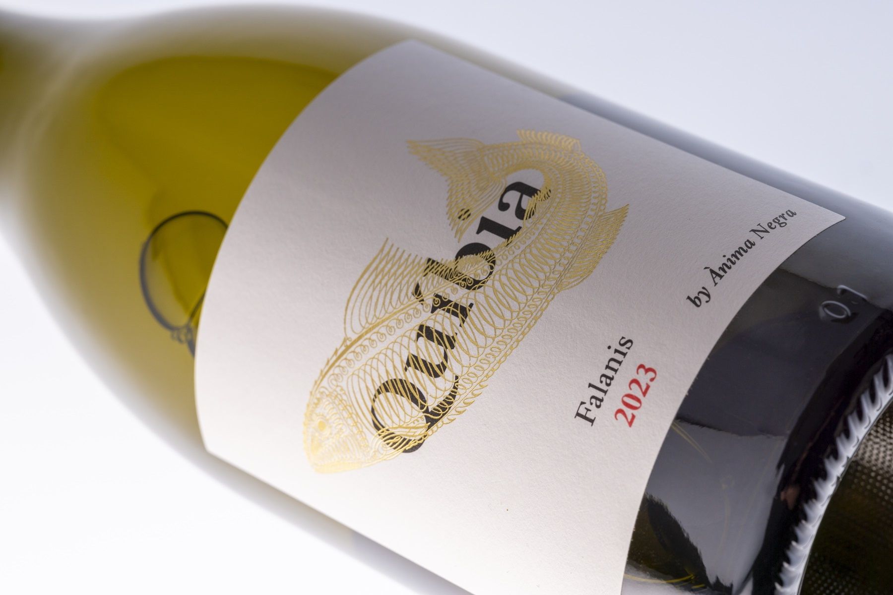 VINOS PARA VERANO | Diez vinos frescos que son perfectos para el verano