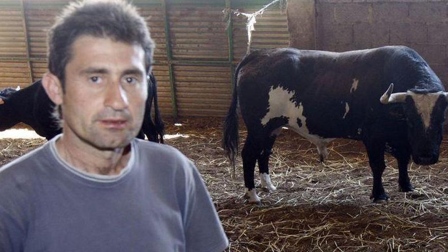 El dueño del famoso toro 'Ratón', corneado por una res de su ganadería
