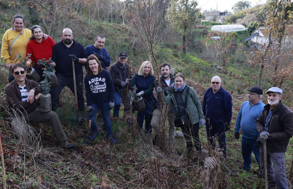 Un bosque para Matamá - Faro de Vigo