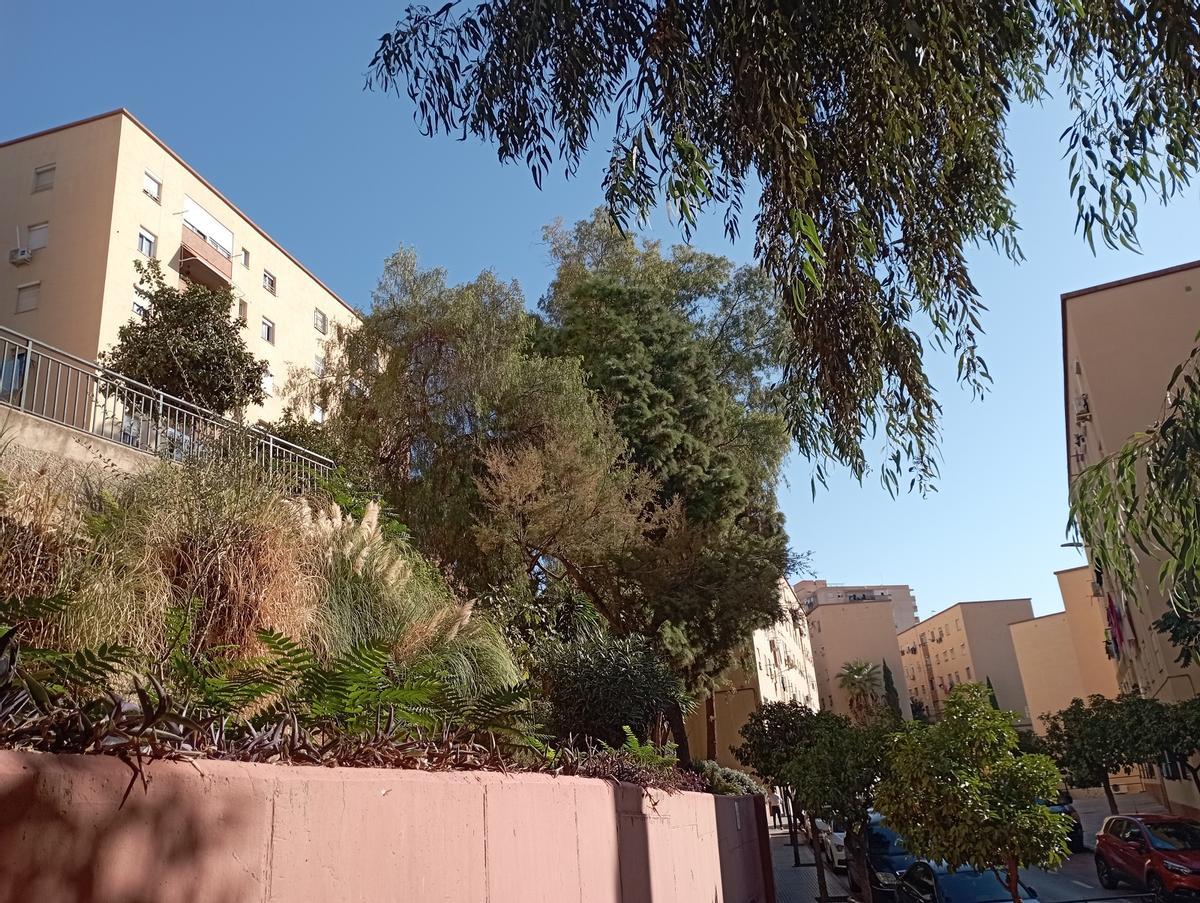 Obispos y plantas en la barriada de Las Flores