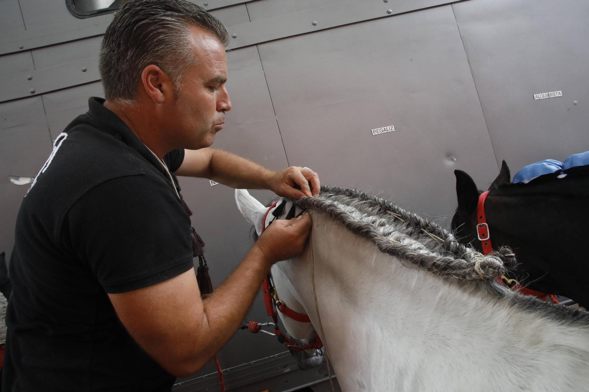 Así se preparan los caballos de rejoneo para torear (en imágenes)