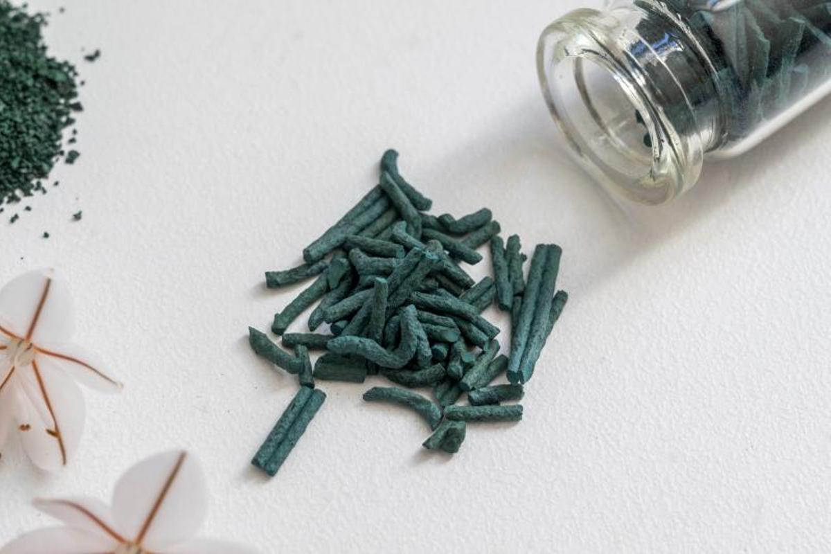 FOTOS | Microalgae Lab, la primera empresa en iniciarse en el cultivo ...